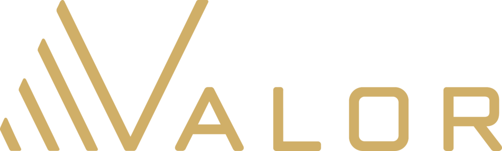 The Valor Group